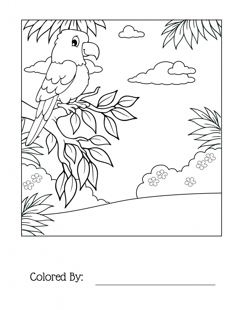 Anima-Musement Activity Pack