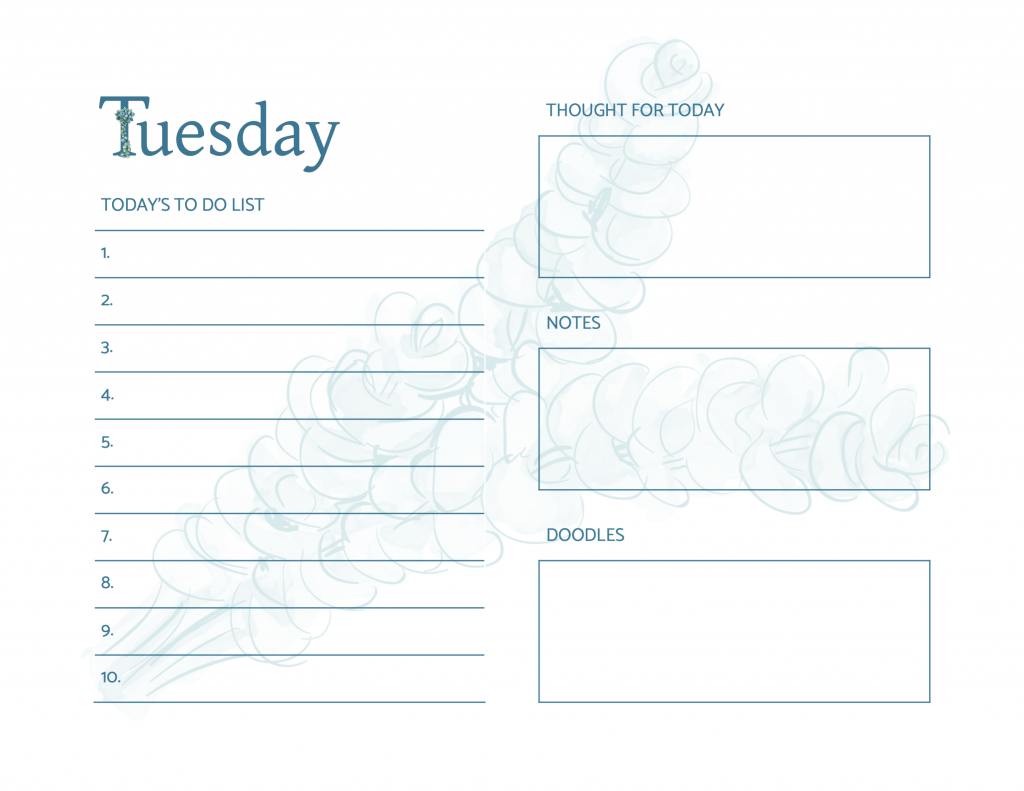 Super-Cool Succulents